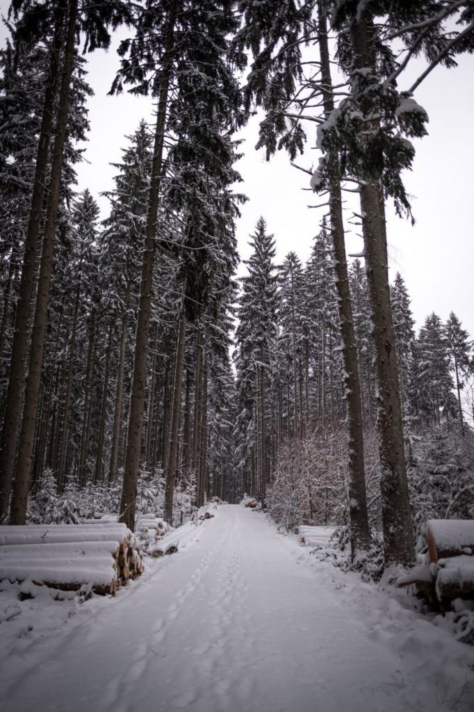 Taubenberg Wanderung mit Aussichts­turm | BinMalKuerzWeg