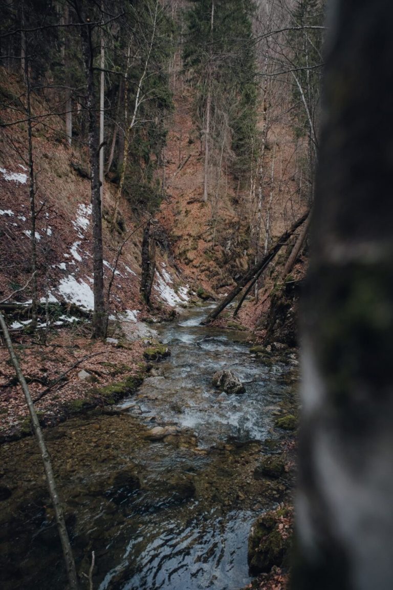 Die 11 schönsten Wanderungen in Bayern für Anfänger | BinMalKuerzWeg