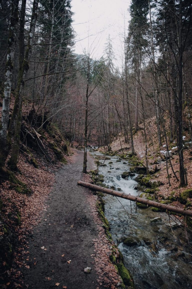 Die 11 schönsten Wanderungen in Bayern für Anfänger | BinMalKuerzWeg